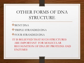 Nucleic acid chemistry | PPT