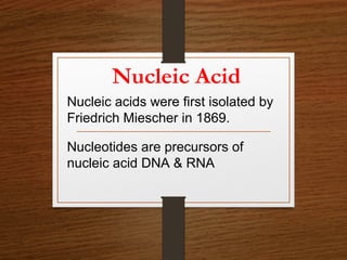 Nucleic acid chemistry | PPT