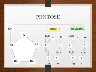Nucleic acid chemistry | PPT