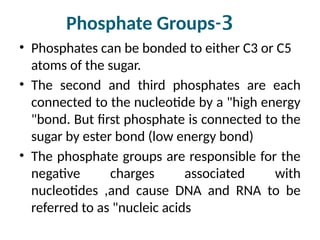 Nucleic Acid types, chemistry and structure | PPTX | Biological ...
