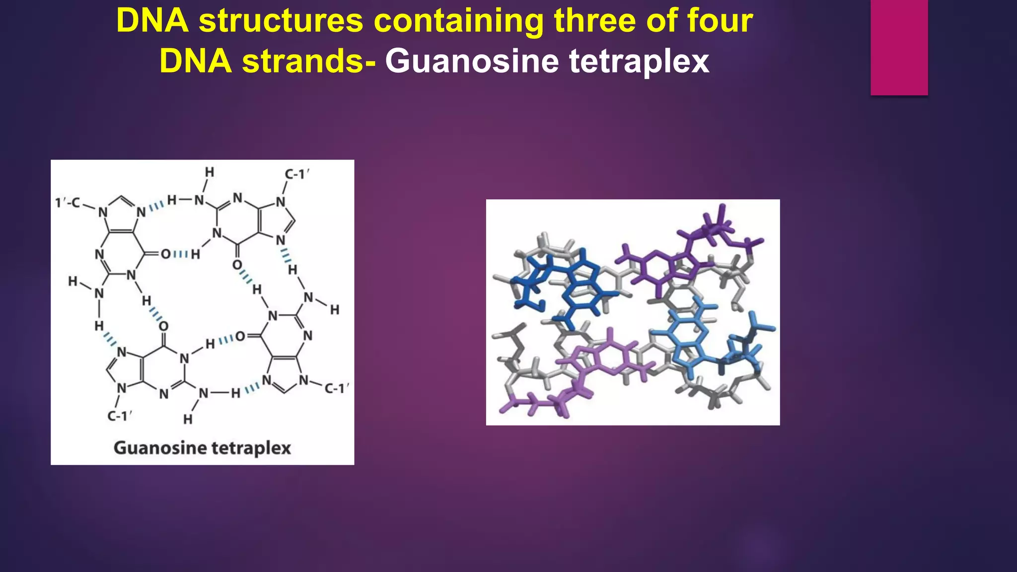 Nucleic acid chemistry and structure | PDF