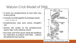 Nuceloside, Nucleotide and Nucleic Acid Chemistry | PPTX