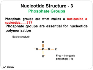 Nucleic Acid Chemistry session one-1.ppt