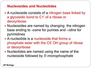 Nucleic Acid Chemistry session one-1.ppt
