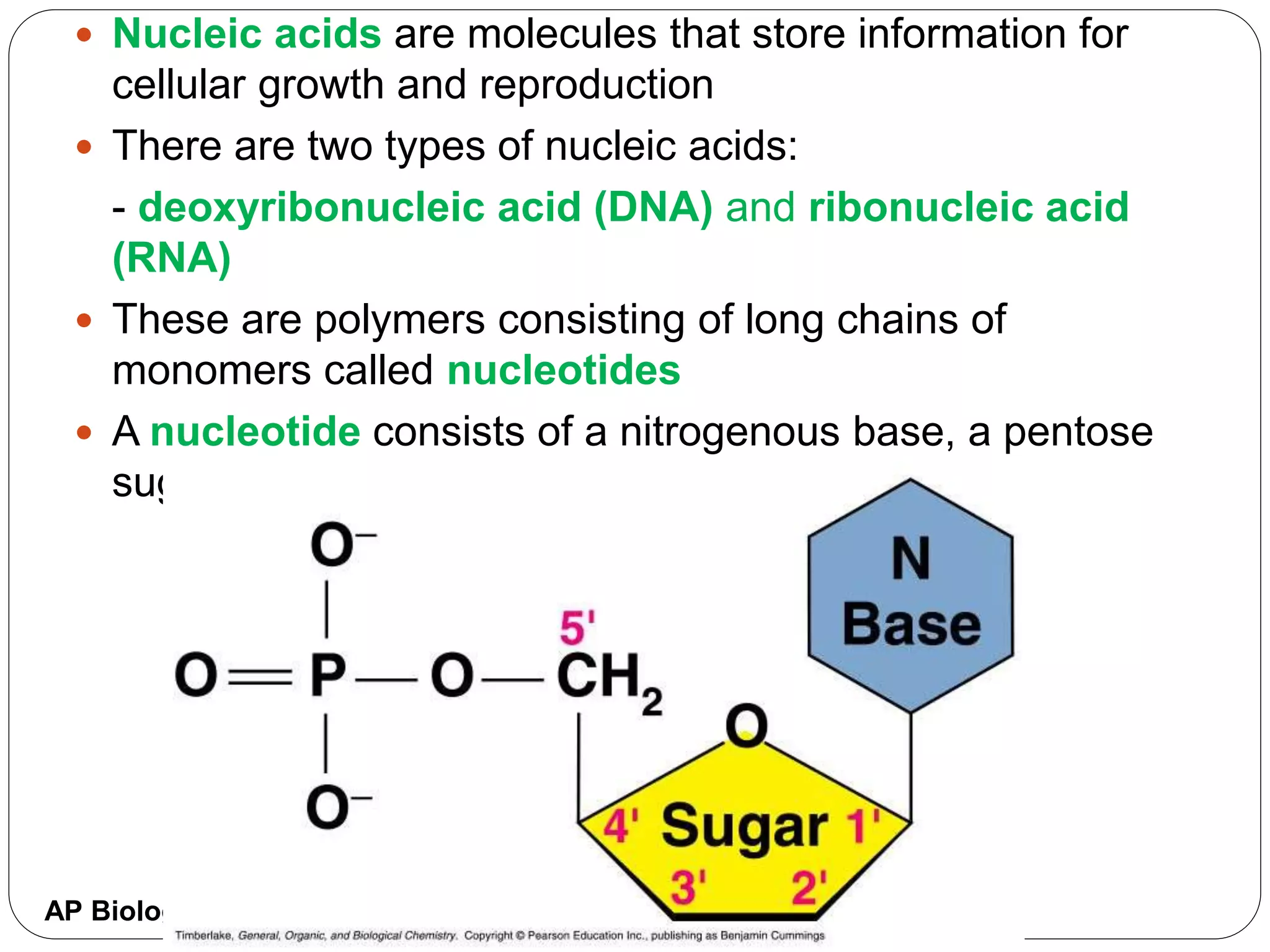 Nucleic Acid Chemistry session one.ppt