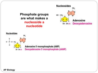 Nucleic Acid Chemistry session one.ppt