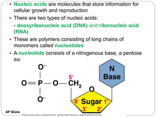 Nucleic Acid Chemistry session one.ppt