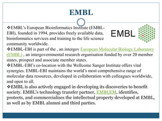 Nucleic Acid Databases (NDB ) of bioinformatics pptx | PPTX