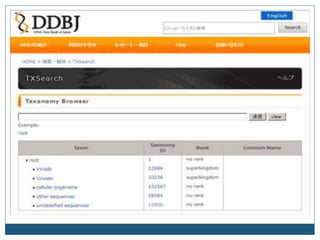 Nucleic Acid Databases (NDB ) of bioinformatics pptx | PPTX