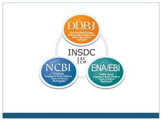 Nucleic Acid Databases (NDB ) of bioinformatics pptx | PPTX