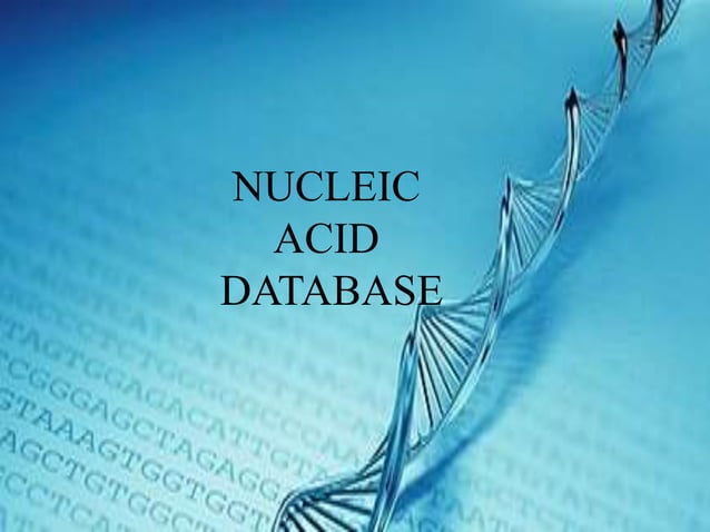 Nucleic Acid Databases (NDB ) of bioinformatics pptx | PPTX | Databases | Computer Software and ...