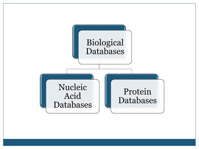 Nucleic Acid Databases (NDB ) of bioinformatics pptx | PPTX | Databases | Computer Software and ...