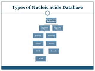 Nucleic Acid Databases (NDB ) of bioinformatics pptx | PPTX