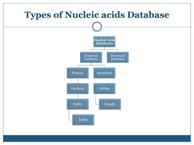 Nucleic Acid Databases (NDB ) of bioinformatics pptx | PPTX | Databases | Computer Software and ...