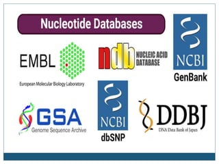 Nucleic Acid Databases (NDB ) of bioinformatics pptx | PPTX