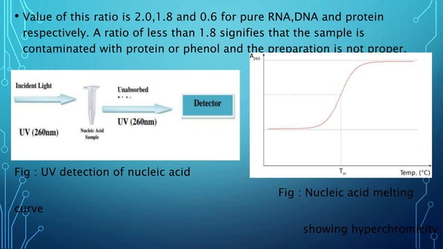 Nucleic acid detection_methods | PPTX | Chemistry | Science
