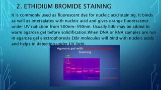 Nucleic acid detection_methods | PPTX