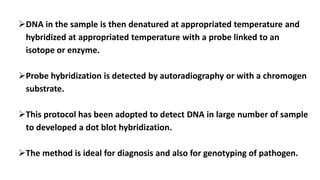 Nucleic acid disease diagnosis of fish | PPTX