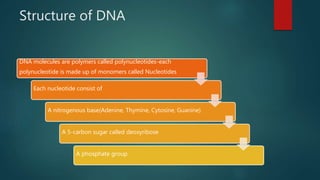 Nucleic acid dna | PPT