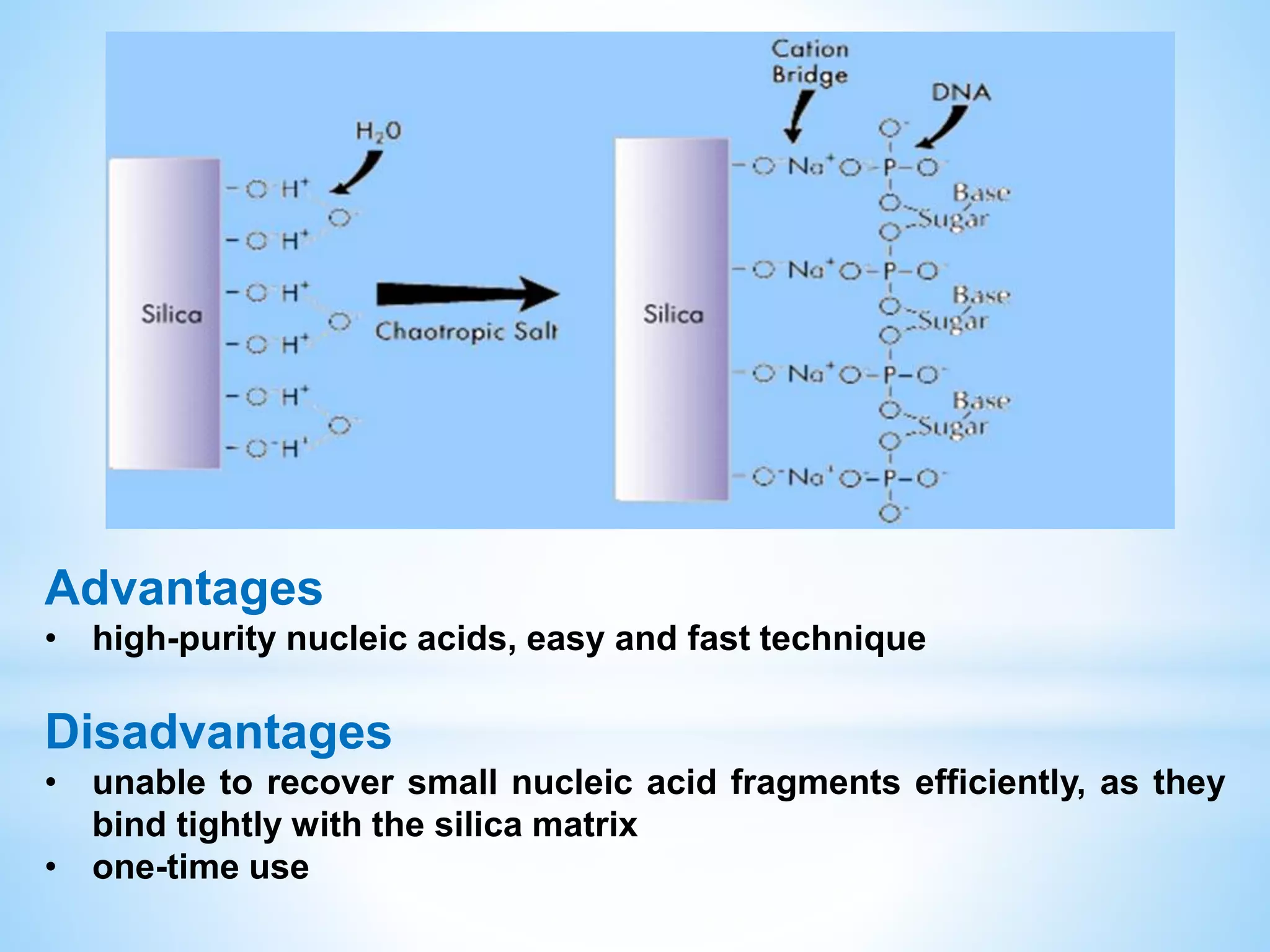 Nucleic acid extraction.pptx