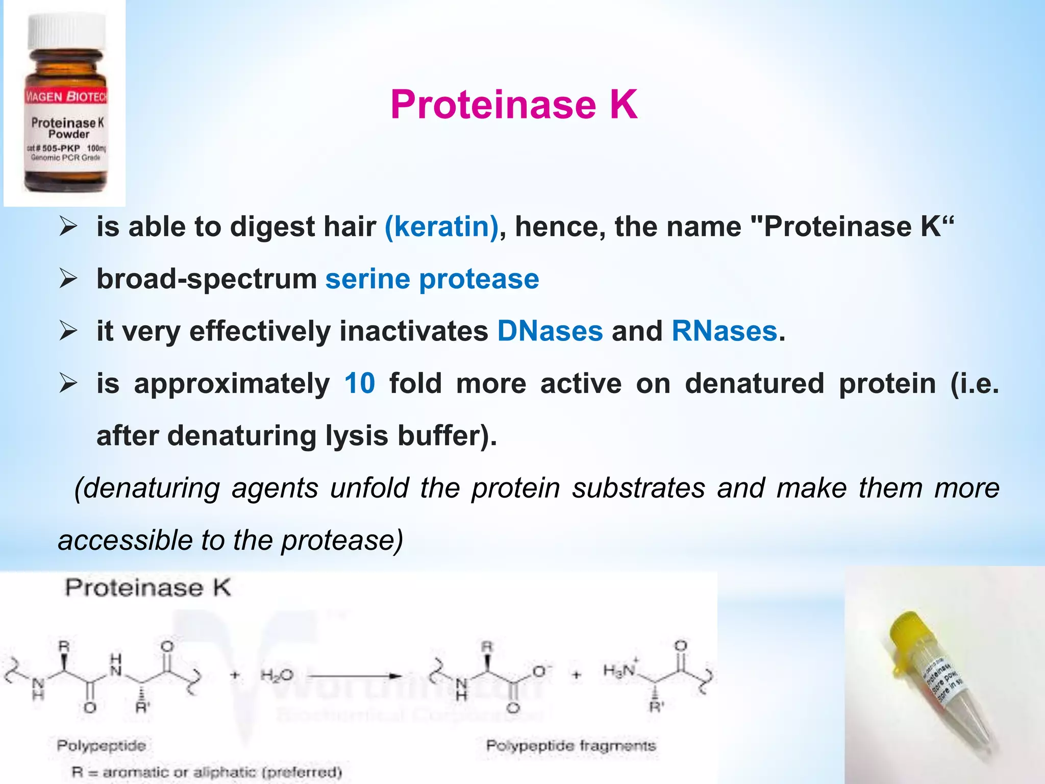 Nucleic acid extraction.pptx