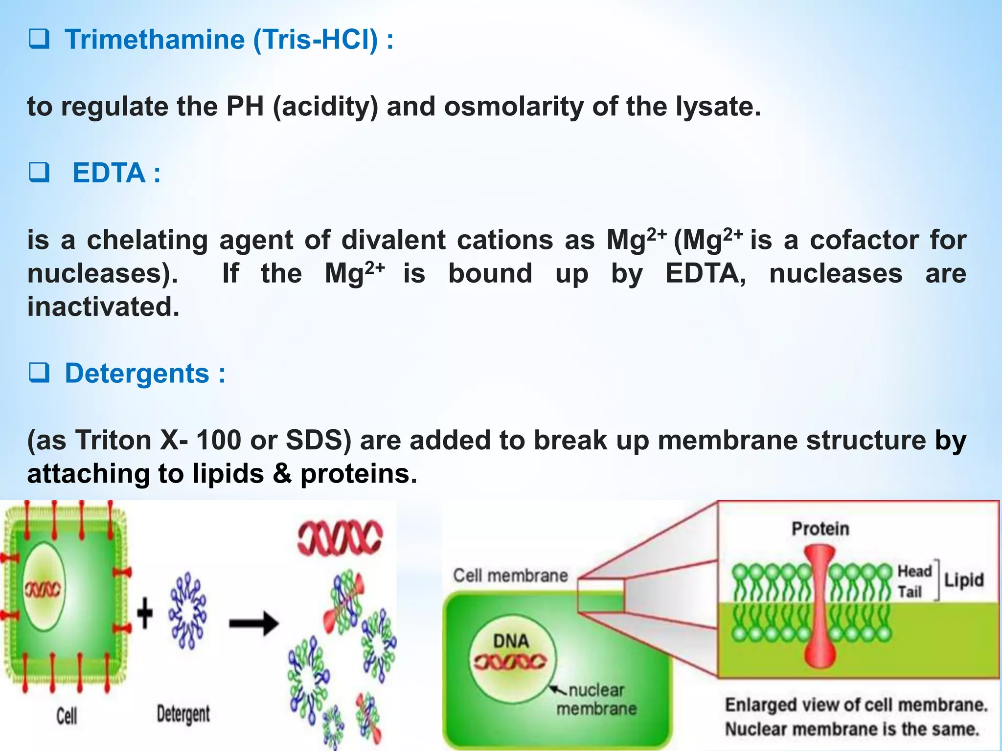Nucleic acid extraction.pptx
