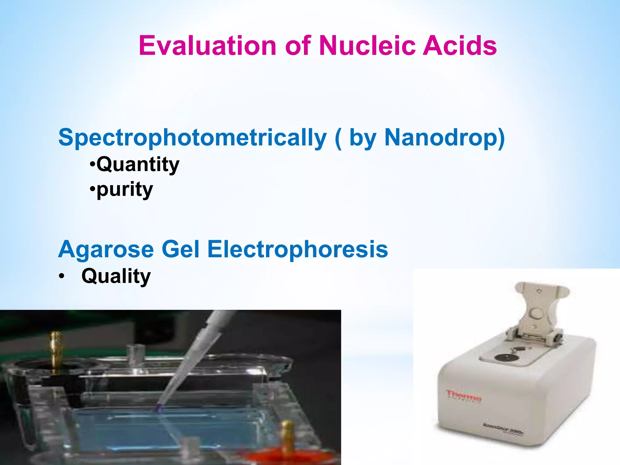 Nucleic acid extraction.pptx