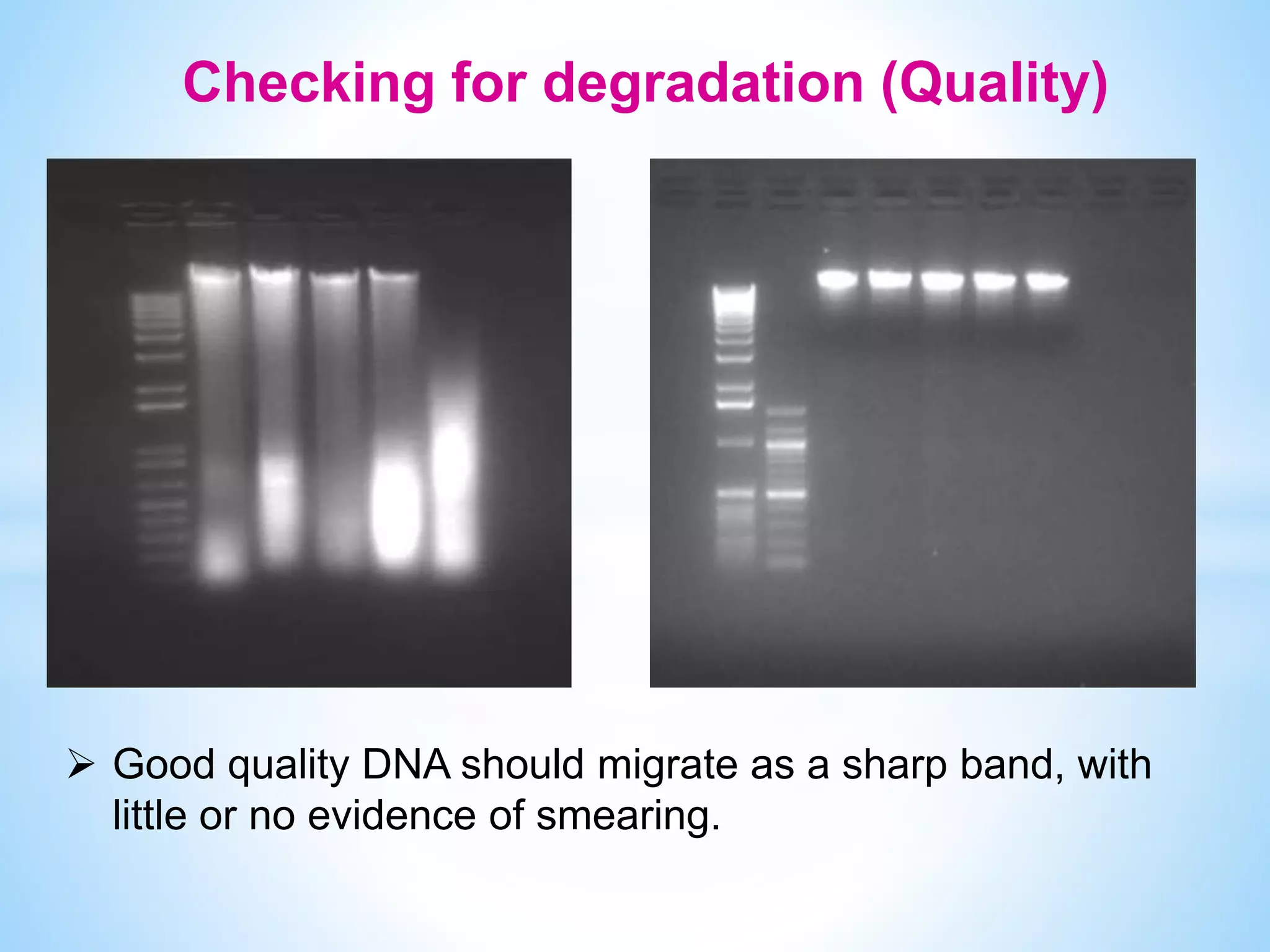 Nucleic acid extraction.pptx