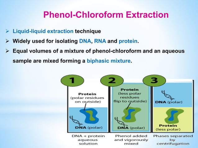 Nucleic acid extraction.pptx