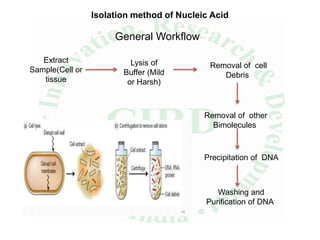 Nucleic acid extraction 2 | PPTX