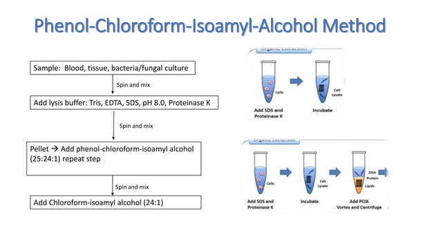 NUCLEIC ACID EXTRACTION AND PURIFICATION 2023.pptx