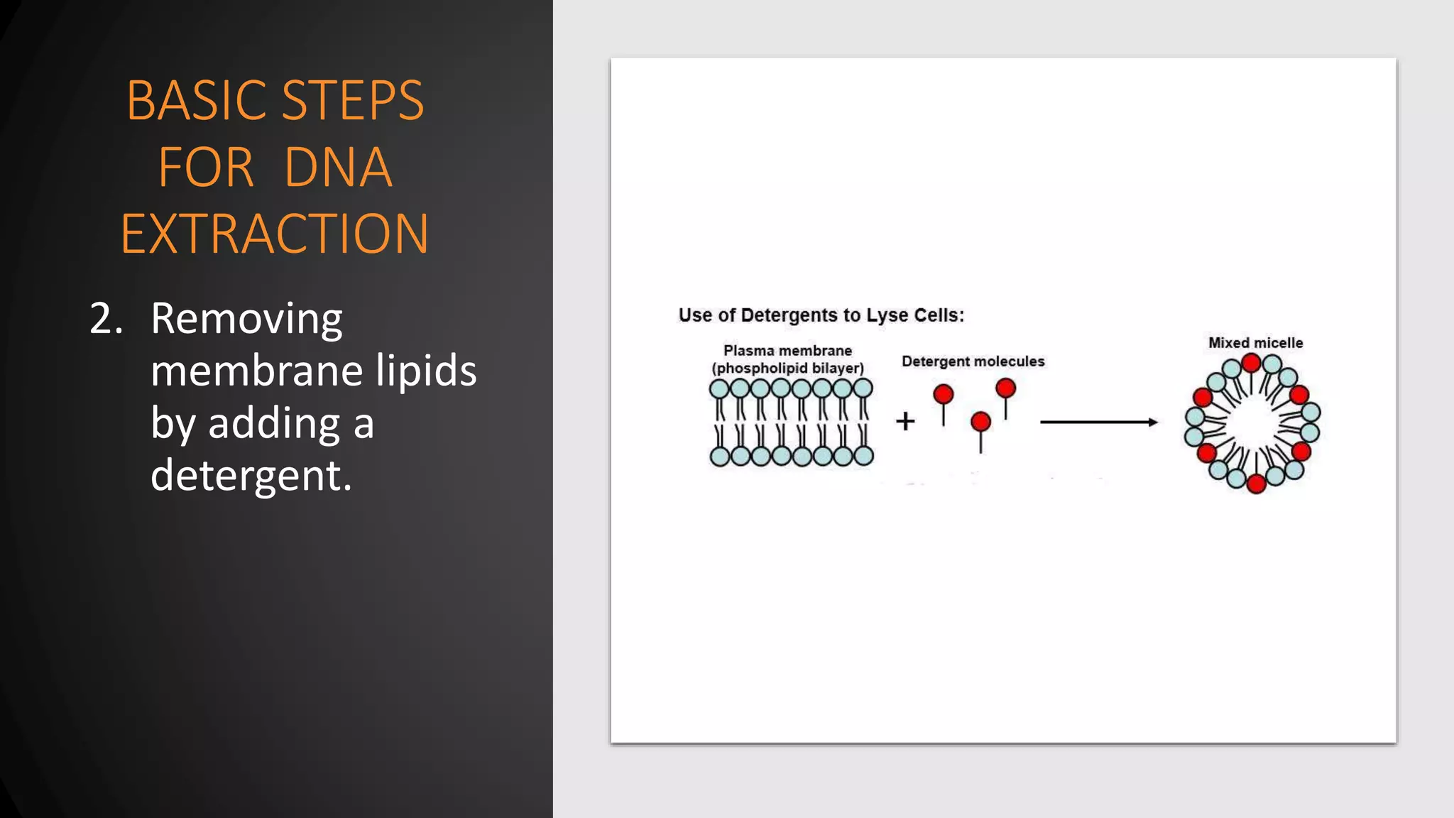 Nucleic acid extraction himanshu | PPTX