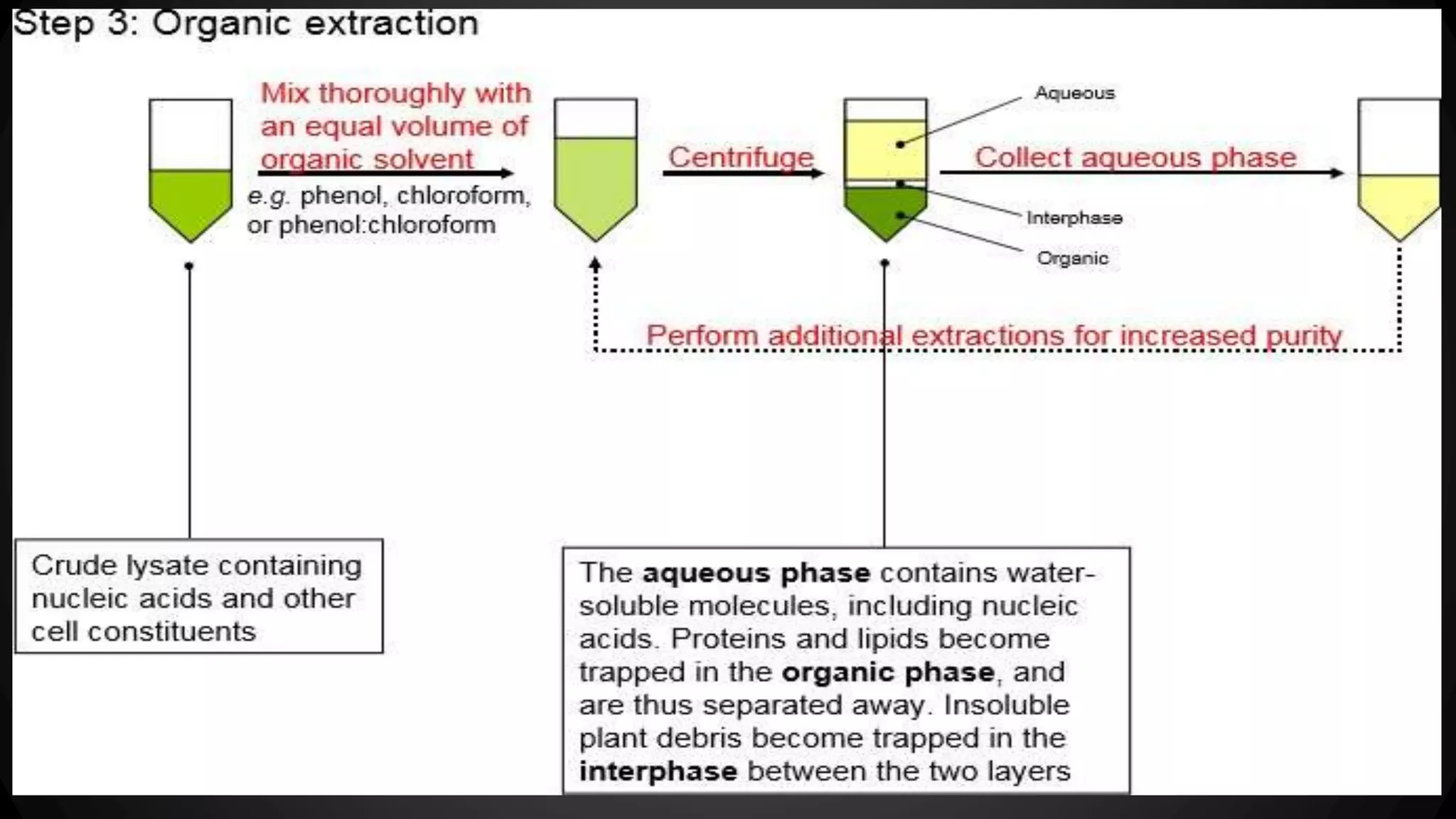 Nucleic acid extraction himanshu | PPTX