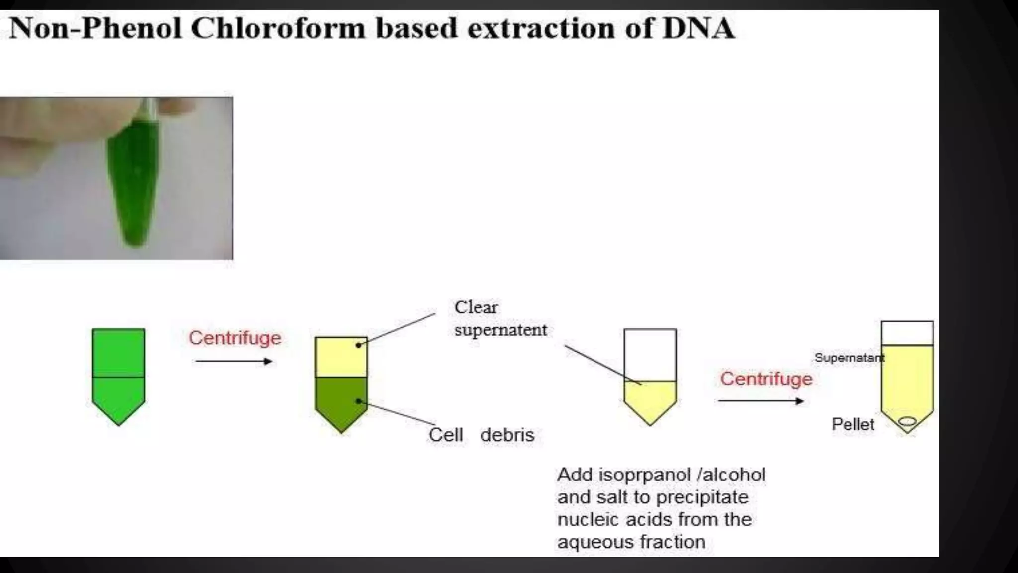 Nucleic acid extraction himanshu | PPTX