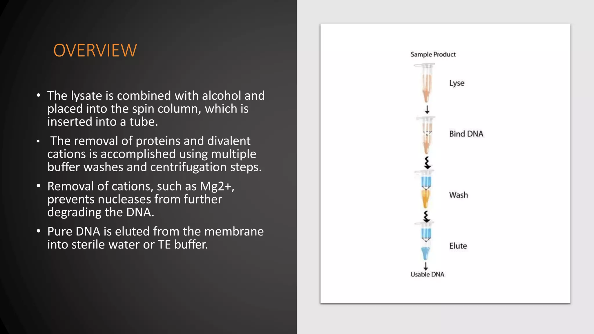 Nucleic acid extraction himanshu | PPTX