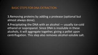 Nucleic acid extraction himanshu | PPTX