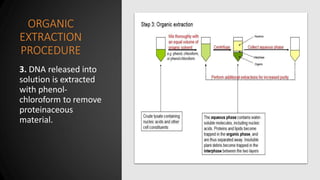 Nucleic acid extraction himanshu | PPTX