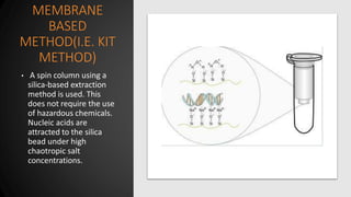 Nucleic acid extraction himanshu | PPTX