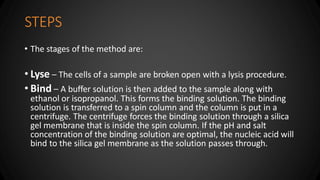 Nucleic acid extraction himanshu | PPTX