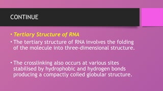 Comprehensive Overview of Nucleic Acids: Structure, Types, and ...