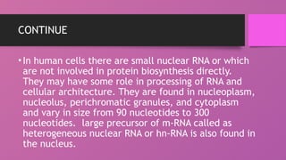 Comprehensive Overview of Nucleic Acids: Structure, Types, and ...