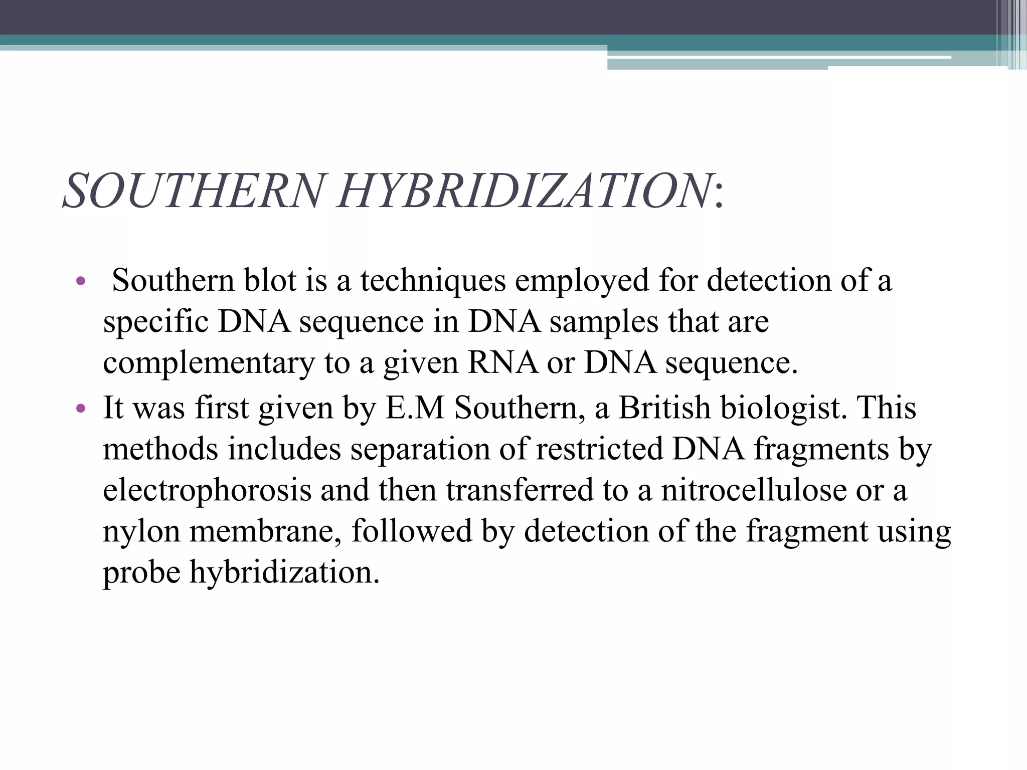 Nucleic acid hybridization | PPTX