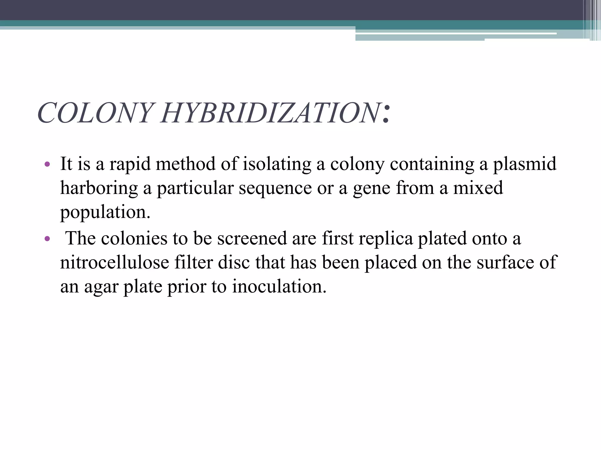 Nucleic acid hybridization | PPTX