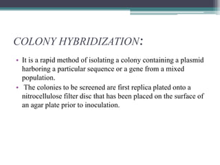 Nucleic acid hybridization | PPTX
