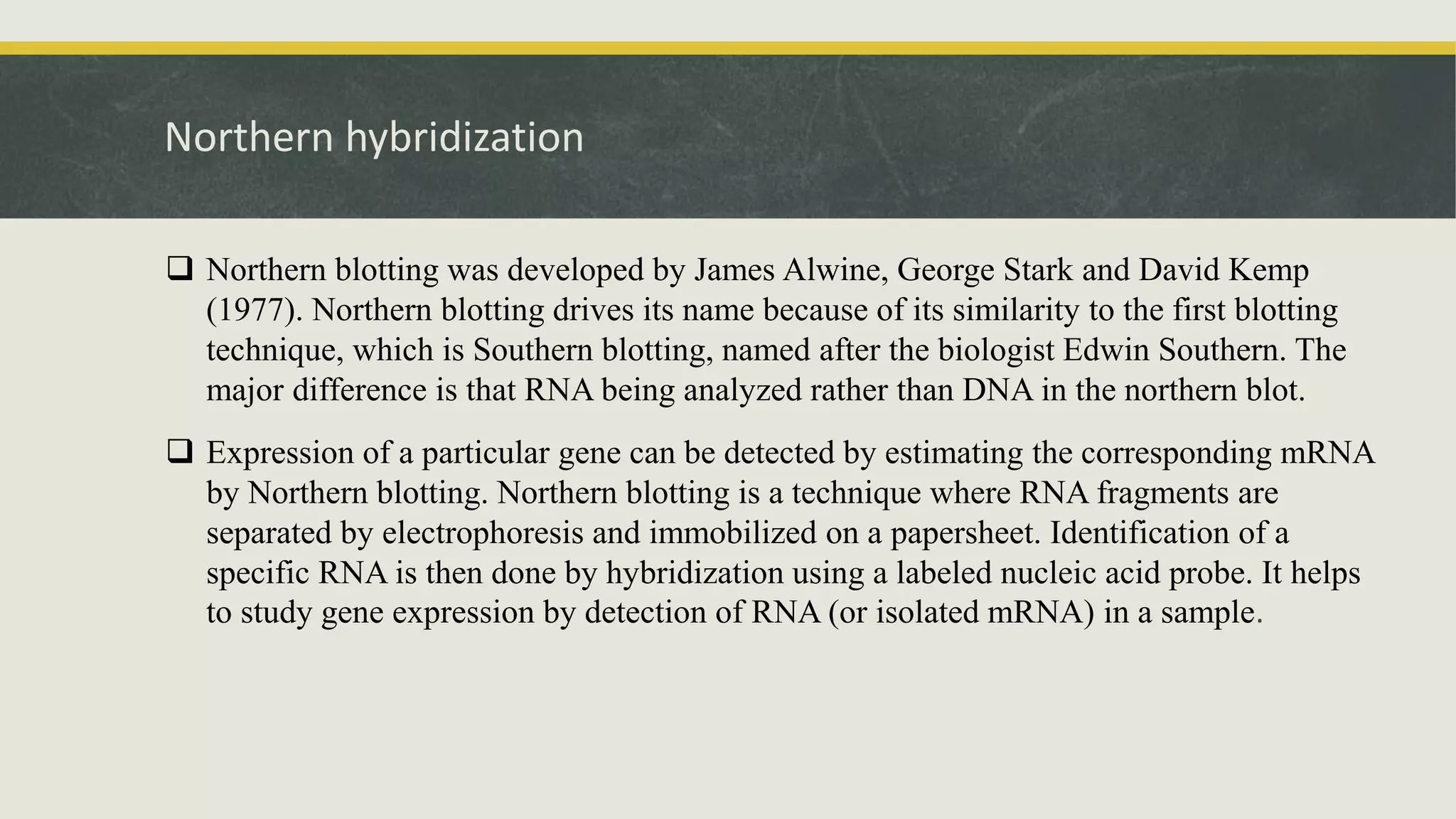 Nucleic acid hybridization | PPTX