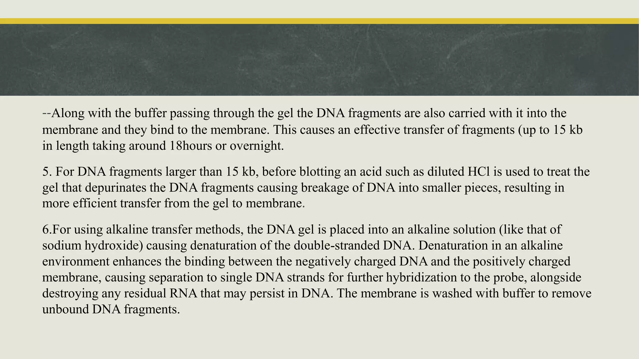Nucleic acid hybridization | PPTX