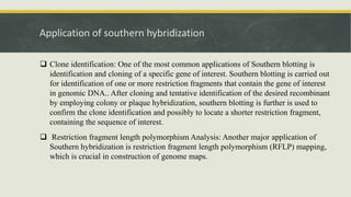 Nucleic acid hybridization | PPTX