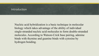 Nucleic acid hybridization | PPTX