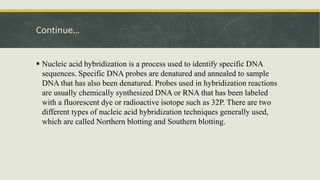 Nucleic acid hybridization | PPTX