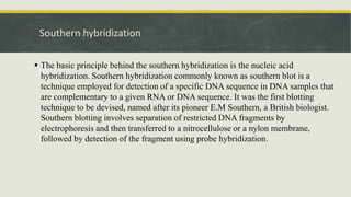 Nucleic acid hybridization | PPTX